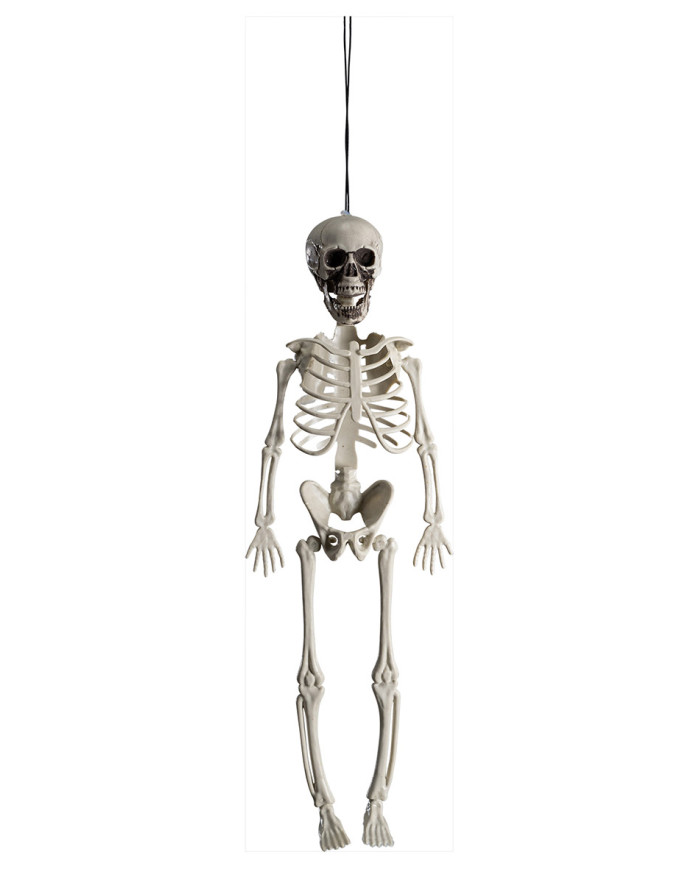 Hanging skeleton h.cm.40 with label